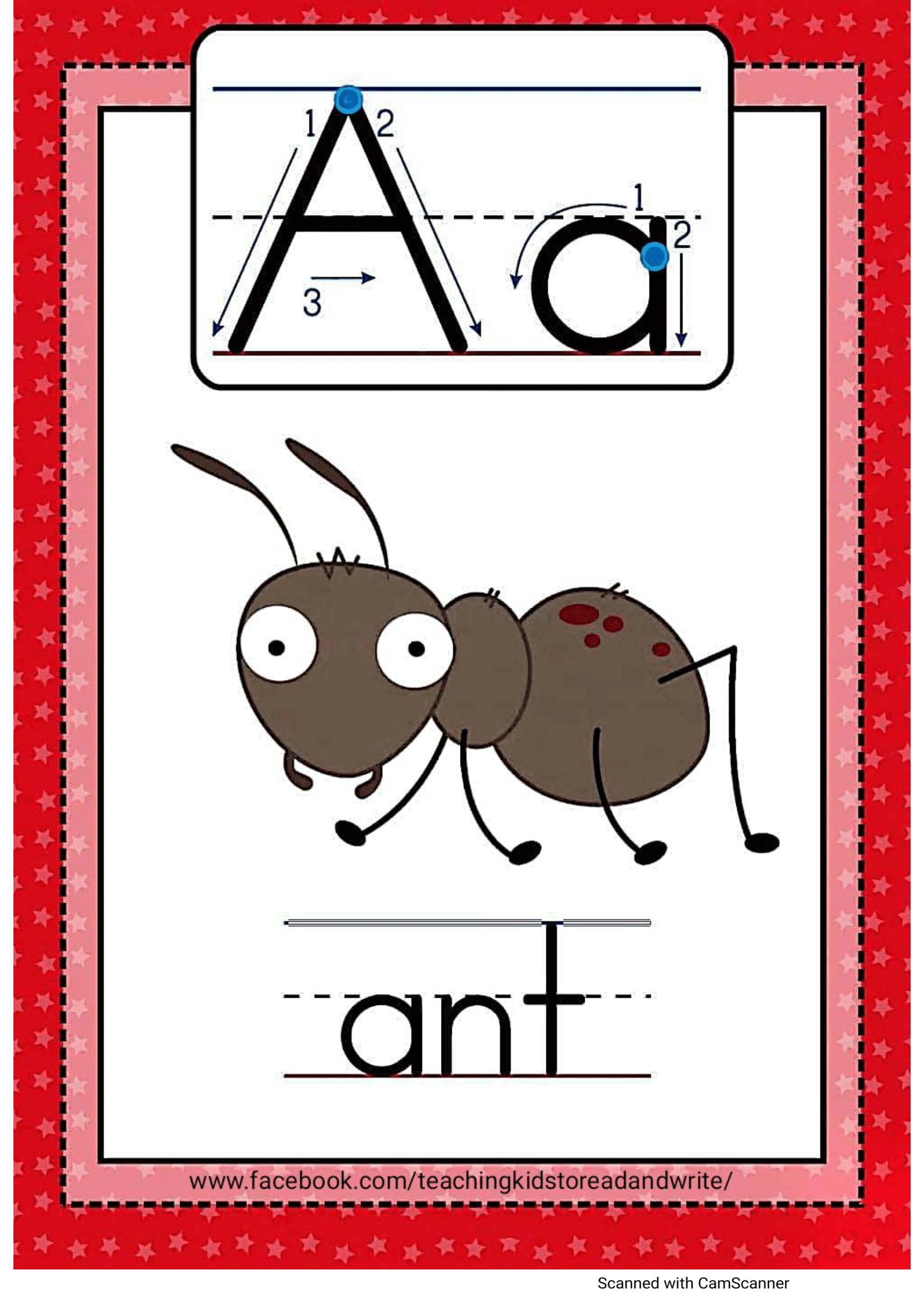 Simple Alphabet Flashcards Teacher Tayo